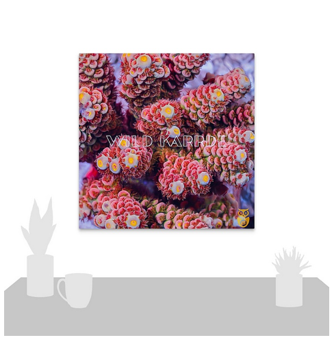 Wild Karrde Print – Battlecorals